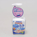 小林製薬 パーシャルデント 洗浄フォーム ミントの香り 250ml 【入れ歯洗浄剤】 | SUNDAY サンデーネットショップ